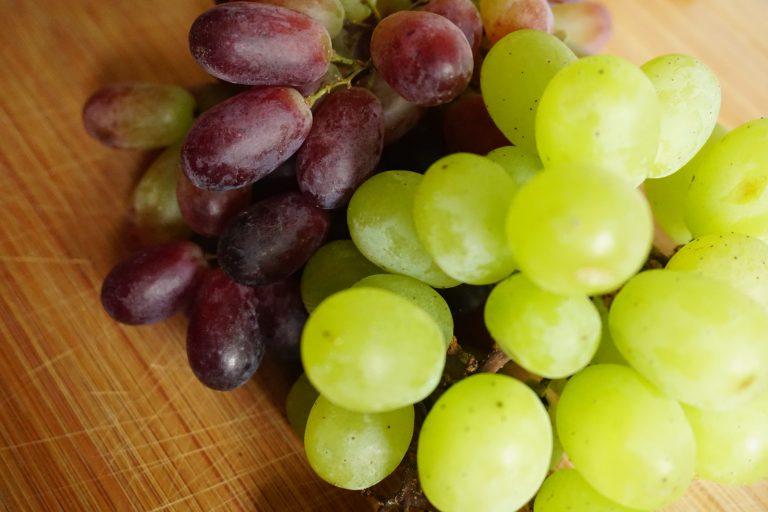 Traube | food-compass.de